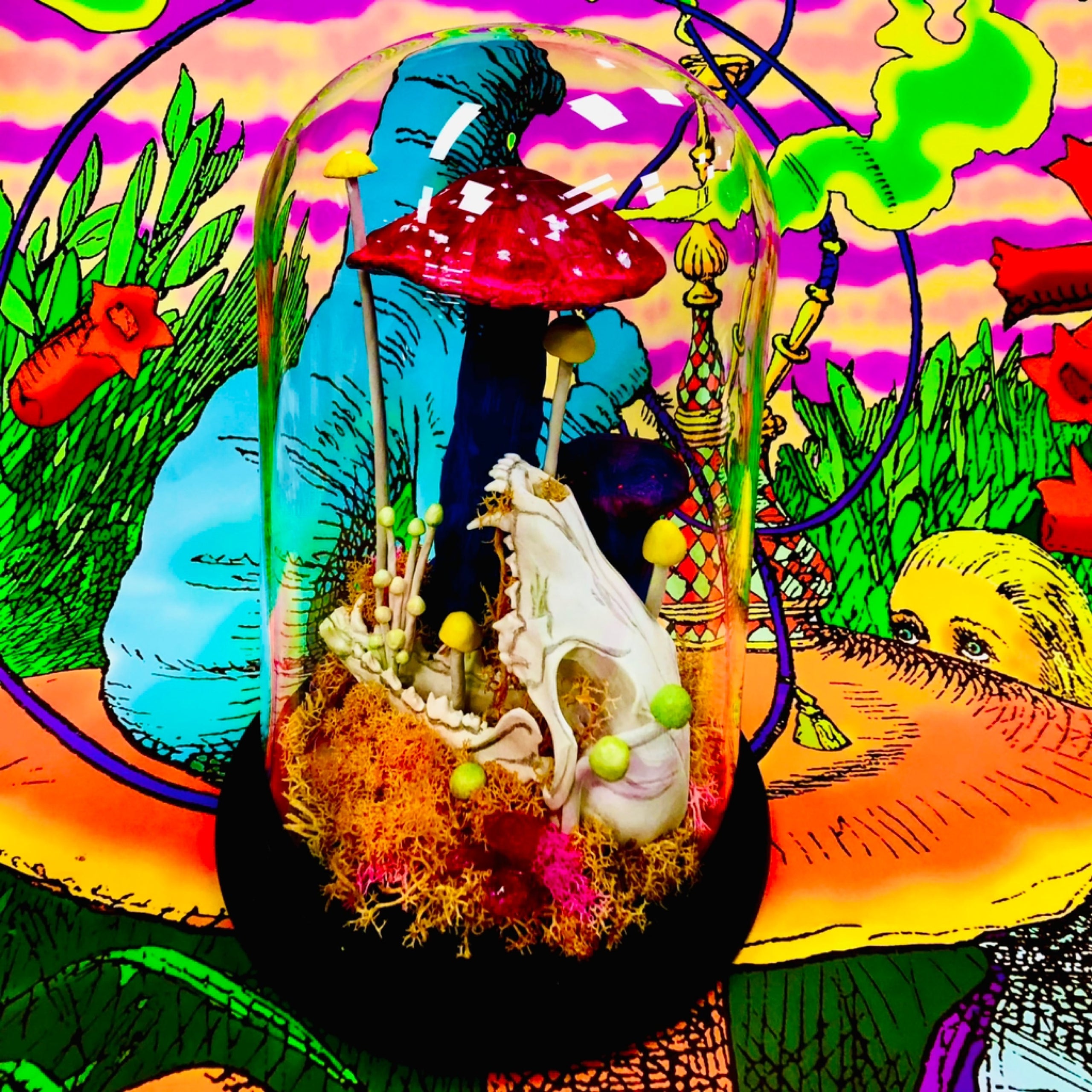 Specimen Domes - Various | ALT CVLT