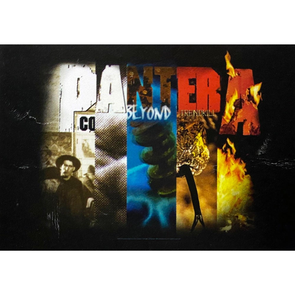 PANTERA Licensed Official Textile Poster Flag Band Merch | ALT CVLT